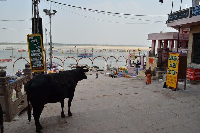 Tour Ancient Varansi by E-Rickshaw - An In-Depth Look at the E-Rickshaw Tour