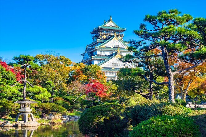 Tour and Food Tour in Osaka with Goverment Guide All incluided - The Itinerary in Detail: What to Expect