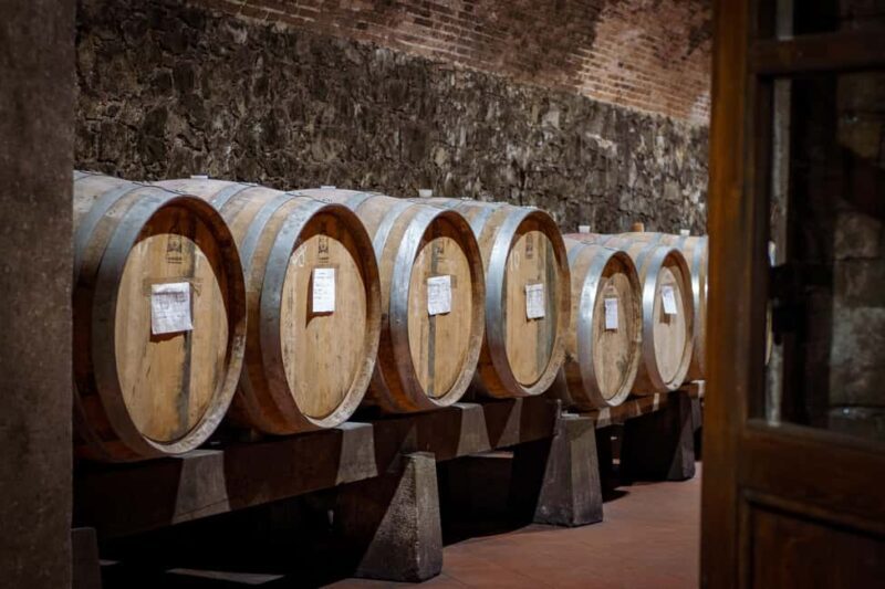 Tour and tasting at the Casalbosco estate - What to Expect on Your Visit