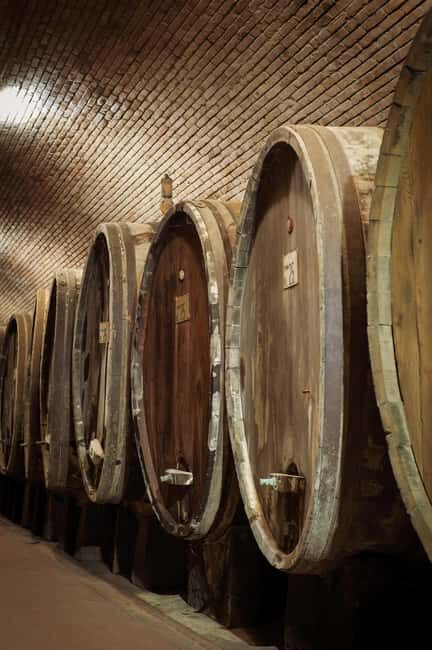 Tour and tasting at the Casalbosco estate - The Itinerary in Detail