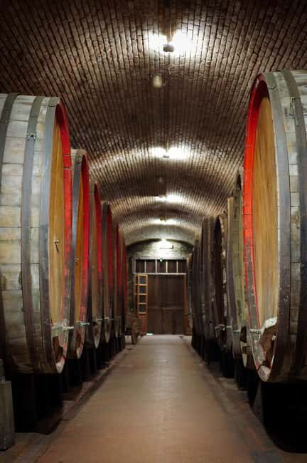 Tour and tasting at the Casalbosco estate - FAQ