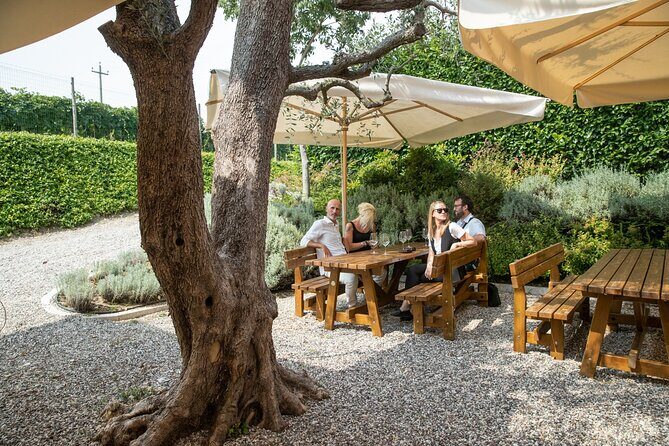 Tour and Tasting of Organic Wines in Lazise - Key Points