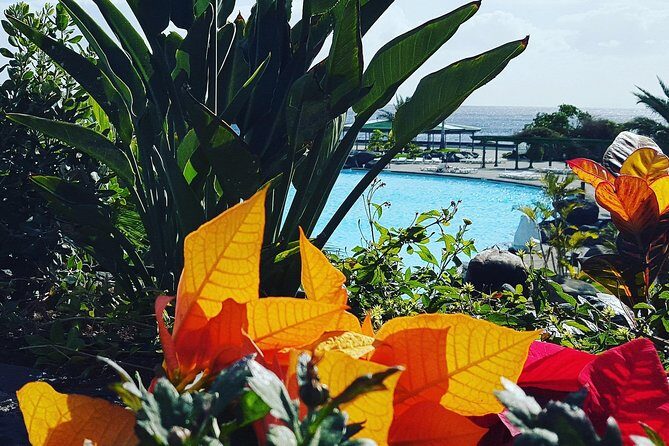 Tour Around the Island - Private VIP Tour in Tenerife - Final Thoughts: Is This Tour Worth It?