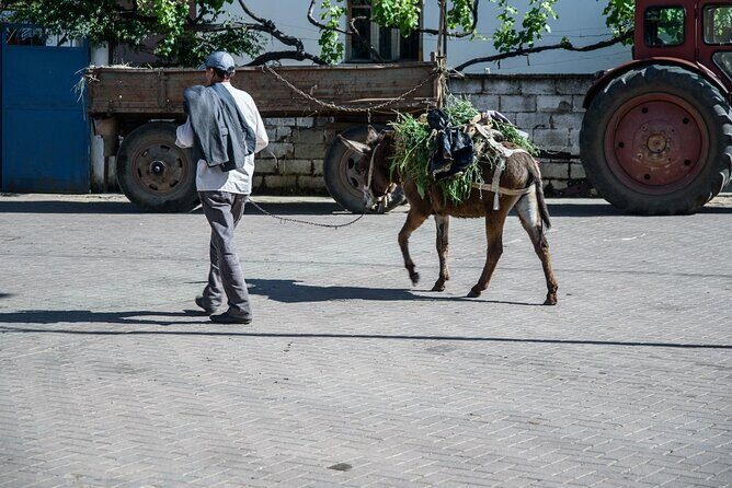 Tour Around the Lake Albania from Ohrid - Key Points