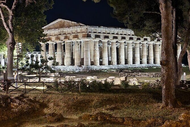 Tour at the Temples and the National Museum of Paestum - Practical Tips for Your Visit