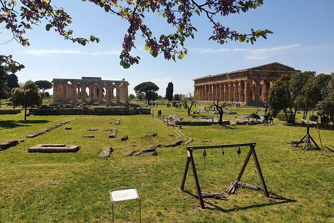 Tour at the Temples and the National Museum of Paestum - Final Thoughts: A Must-See for Curious Travelers
