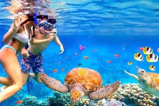 Tour Bali Blue Lagoon Snorkeling and East Bali Adventure - Who Will Love This Tour?