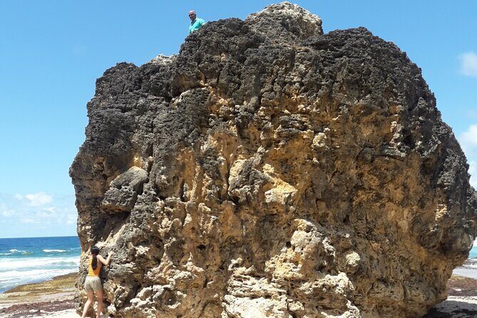 Tour Barbados Your Way - Why Choose Tour Barbados Your Way?