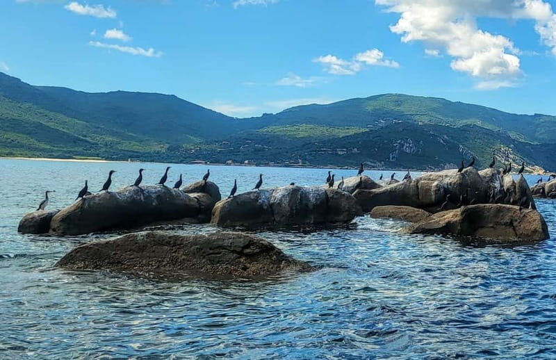 Tour bateau avec vision sous-marine/Sites classés+Baignade - Exploring Corsica from the Water: A Detailed Review
