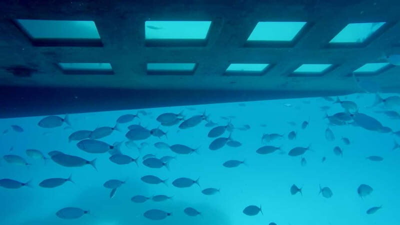 Tour bateau avec vision sous-marine/Sites classés+Baignade - Who is this tour best for?