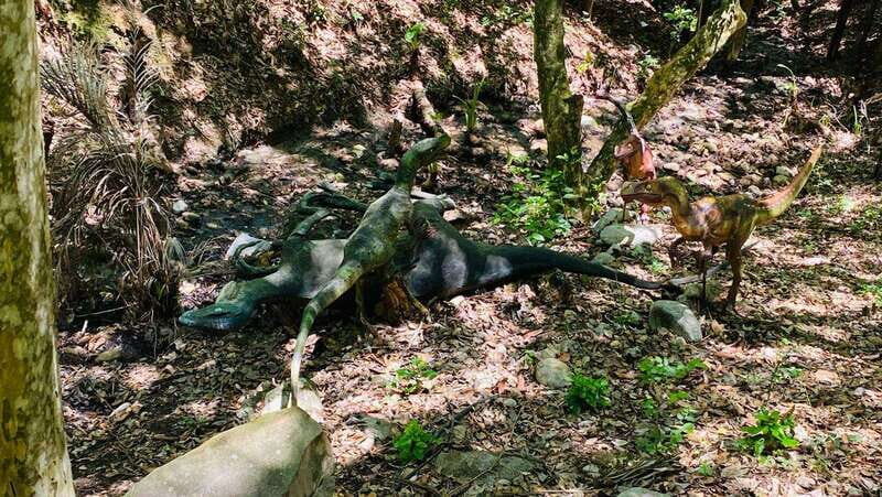 Tour "Bioparque" + Traslados + Tickets incluidos - Who Will Love This Tour?