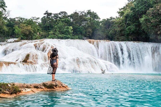 Tour Blue Waterfalls MisolHa and Palenque Waterfall - Discovering the Blue Waterfalls and Mayan Ruins Tour from San Cristóbal
