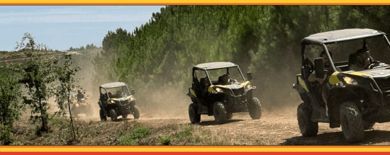 TOUR BUGGY BOTICAS AND CHAVES - An Overview of the Buggy Tour Experience