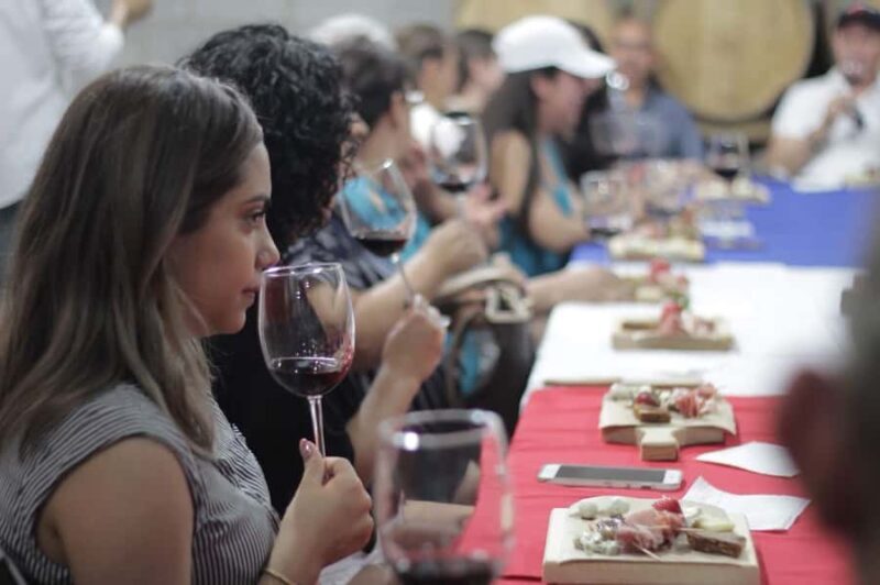 Tour+ Cata 3 vinos / Tour + 3 wine tasting - Key Points