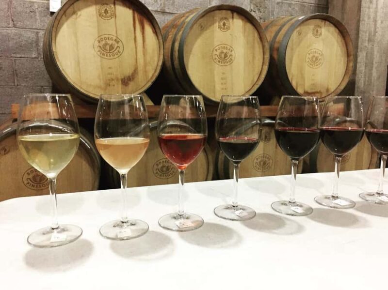 Tour+ Cata 3 vinos / Tour + 3 wine tasting - What to Expect During Your Visit