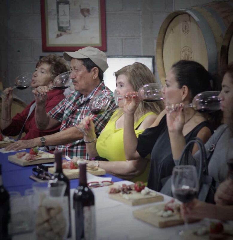 Tour+ Cata 3 vinos / Tour + 3 wine tasting - Who Will Love This Experience?