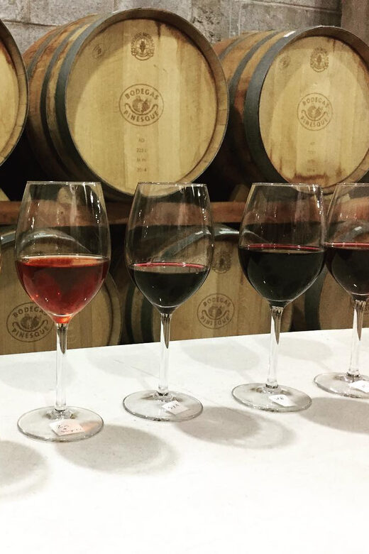 Tour+ Cata 3 vinos / Tour + 3 wine tasting - Final Thoughts