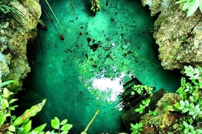 Tour Cenote Santa Cruz - Practical Tips for Participants