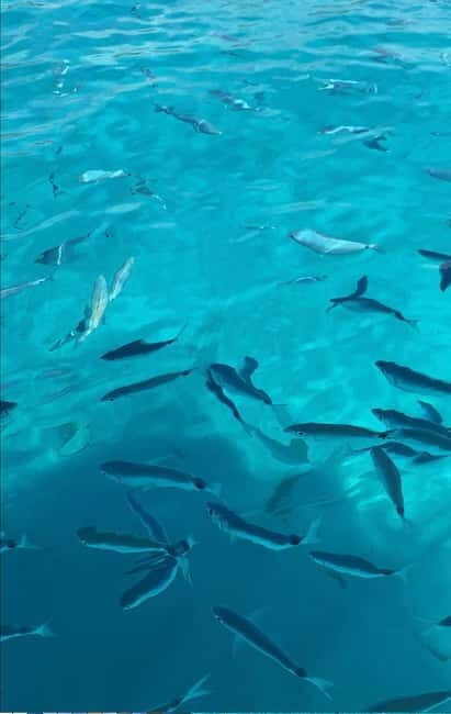 Tour "Coast of the Gods" by Boat - Key Points