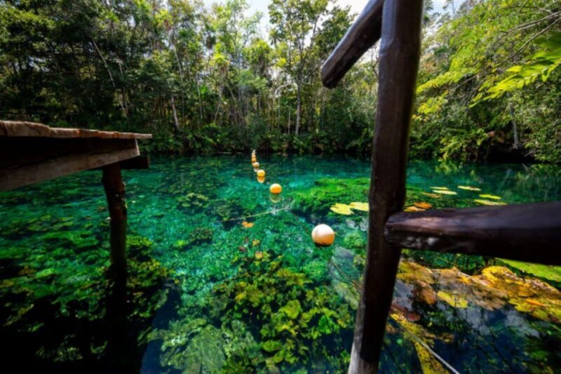 Tour Coba Ruins & Refreshing Cenote Xux Ha Swim With Lunch - Authentic Mexican Lunch