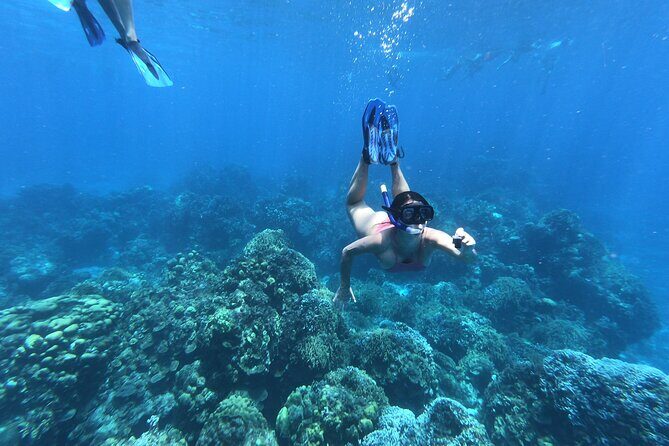 Tour Cozumel Island + Snorkel + Beach + Buggy + Lunch - Introduction: Why This Tour Might Be Just What You Need in Cozumel