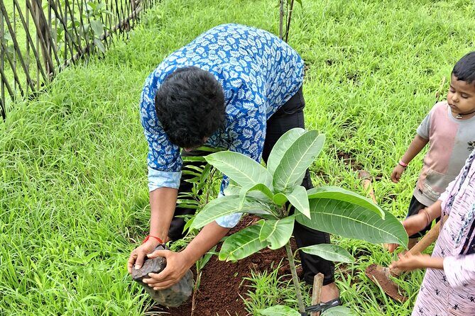 Tour De Small Town Maharashtra Nature Trekking and Star Gazing - Key Points