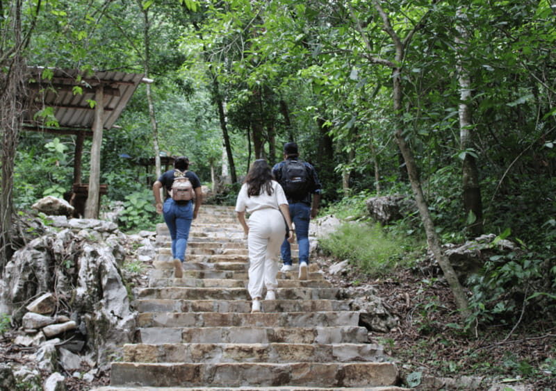 Tour: Edward James Sculpture Garden and Sótano de Huahuas - Authentic Experiences and What Travelers Say