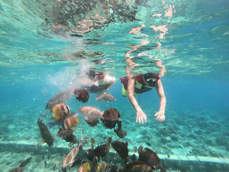 Tour exclusive secret gilis. - FAQ