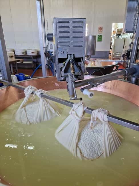 Tour Ferrari, Lambo, Parmesan, Vinegar, Wine with Lunch - Frequently Asked Questions