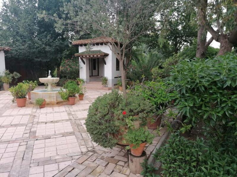Tour from Alicante to Casa Morisca in Crevillente with Tea and Pastries in a Van - Why This Experience Excels