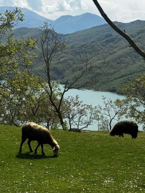 Tour From Durres/Golem Bovilla Lake & Gamti Mountain - Scenery Along the Way