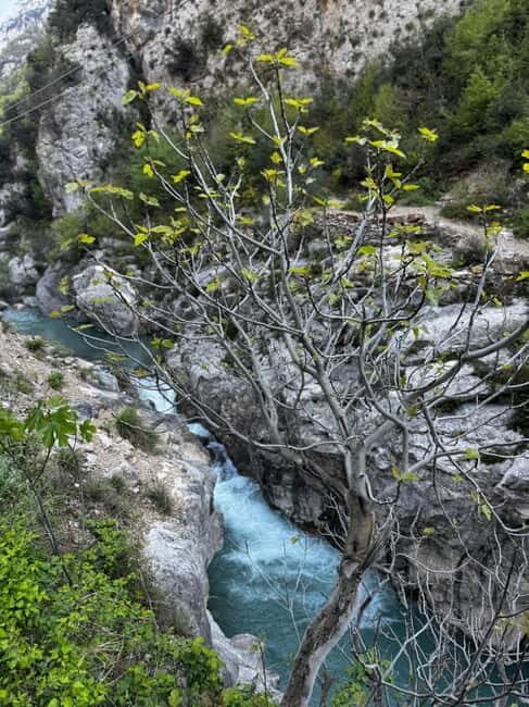 Tour From Durres/Golem Bovilla Lake & Gamti Mountain - Return Journey and Final Reflections