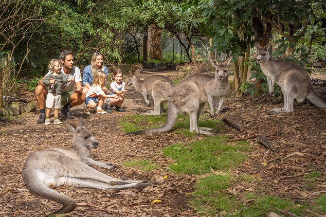 Tour from Eden to Merimbula Wetlands Wildlife and Coastline - Key Points