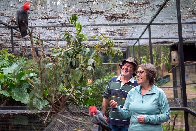 Tour from Eden to Merimbula Wetlands Wildlife and Coastline - In-Depth Look at the Eden to Merimbula Tour