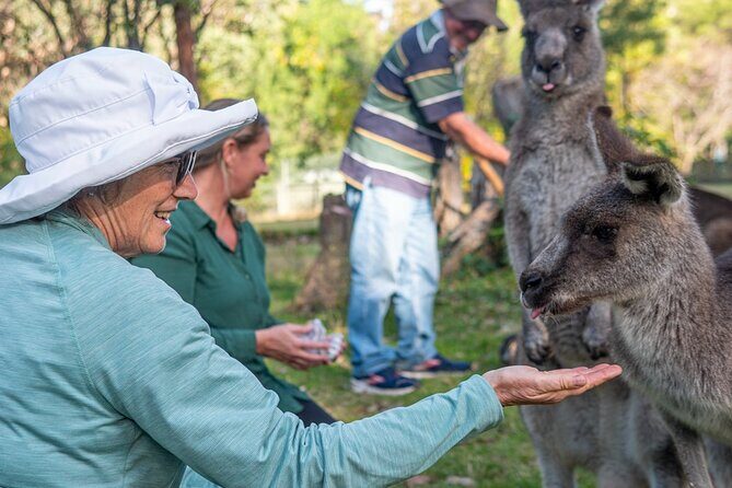 Tour from Eden to Merimbula Wetlands Wildlife and Coastline - Pricing & Value Analysis