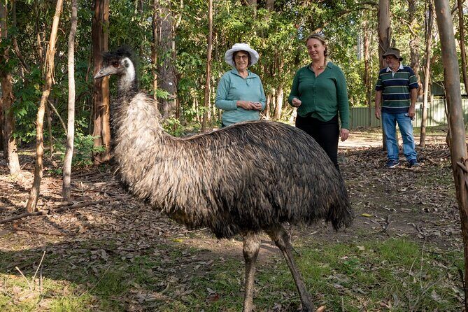 Tour from Eden to Merimbula Wetlands Wildlife and Coastline - Practical Tips for Travelers
