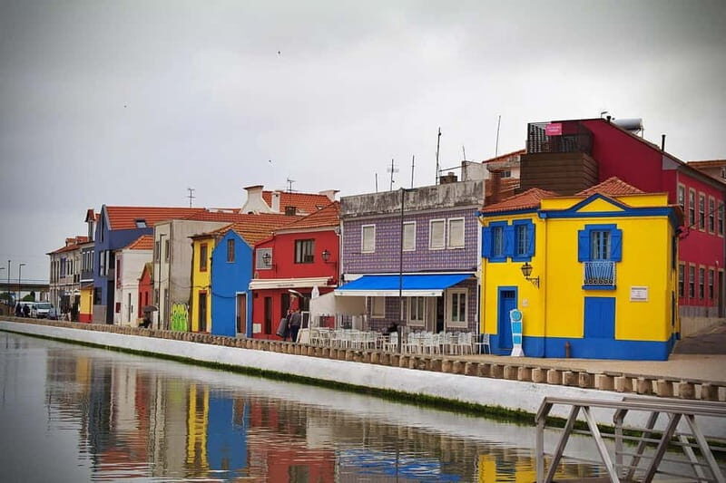 Tour from Lisbon: Aveiro, Coimbra, Conímbriga, and the Palace of Bussaco - Final Thoughts