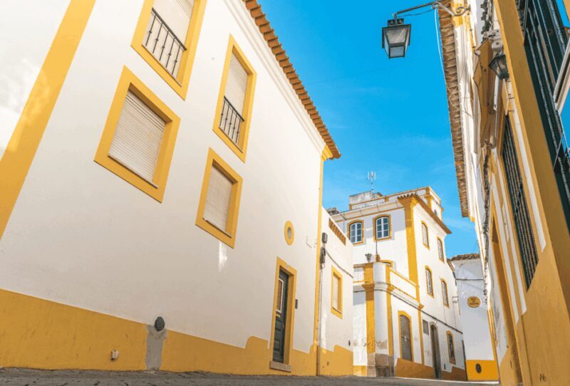 Tour from Lisbon: ÉVORA and Alentejo Wines - Who Is This Tour Best Suited For?