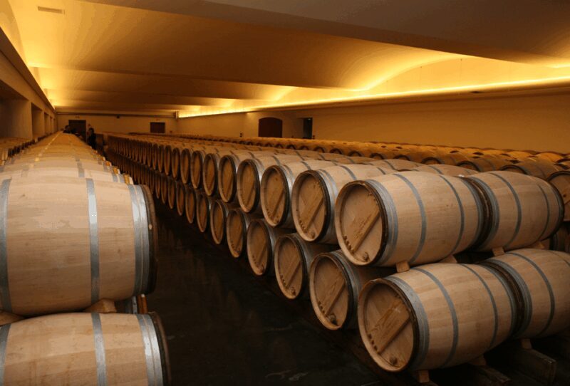 Tour from Lisbon: ÉVORA and Alentejo Wines - Final Thoughts
