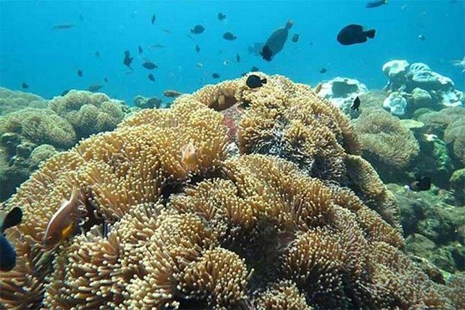 Tour Gate of Heaven at Lempuyang Temple - Blue Lagoon Snorkeling with lunch - Considerations for Travelers