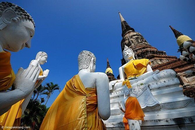 Tour guide Driver service - In-Depth Look at the Value