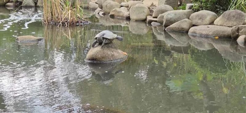 Tour Hiroshima: Explore Its Spiritual & Cultural Treasures - Final Thoughts