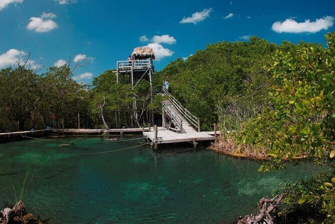 Tour Holbox Plus (Isla Pasion & Cenote) Departures from Cancun - Who Is This Tour Best For?