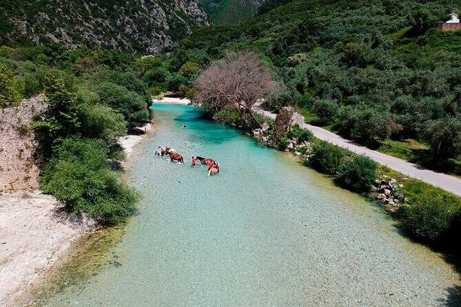 Tour in Acheron River - The Sum Up: Is This Tour Right for You?