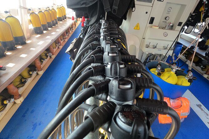 Tour in Alanya with Lunch and Guided Scuba Dives from Side - An Overview of the Tour: What to Expect