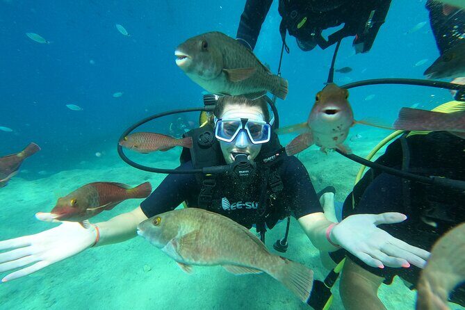 Tour in Alanya with Lunch and Guided Scuba Dives from Side - Diving into the Experience: What’s Truly Valuable