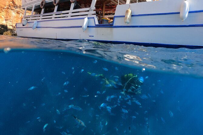 Tour in Alanya with Lunch and Guided Scuba Dives from Side - Authentic Feedback and Insights from Past Travelers