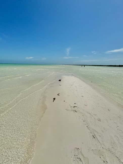 Tour in Italian in Holbox - The Sum Up