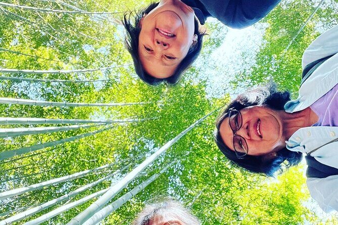 Tour in Kyoto with a Certified Guide Pick up from Osaka Port - The Pros and Cons Based on Real Traveler Feedback