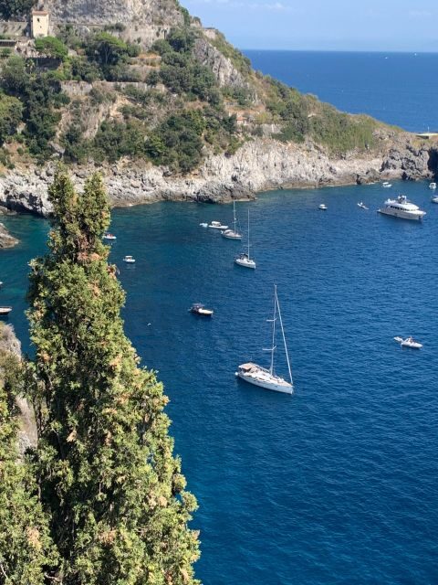 Tour in Minivan Mercedes to Sorrento & Pompeii - A Practical Overview of the Experience